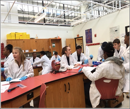 A Story About The Citizen Science Lab